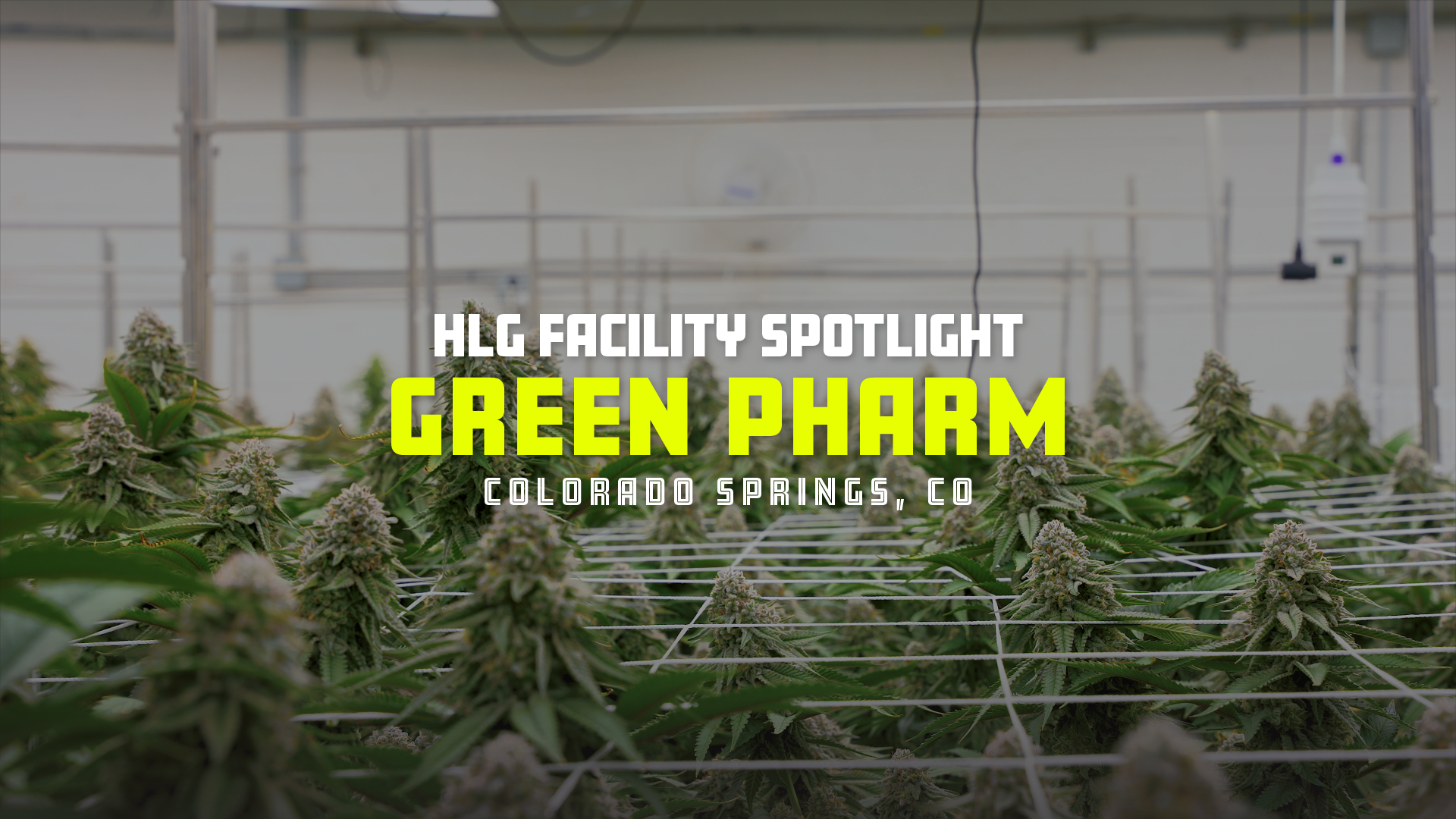 Green Pharm – Horticulture Lighting Group